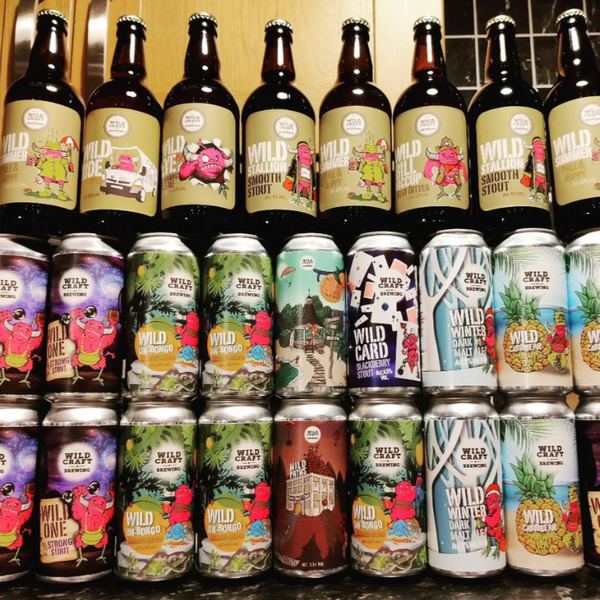 Gold beer pack - Mixed – Wildcraft Brewery